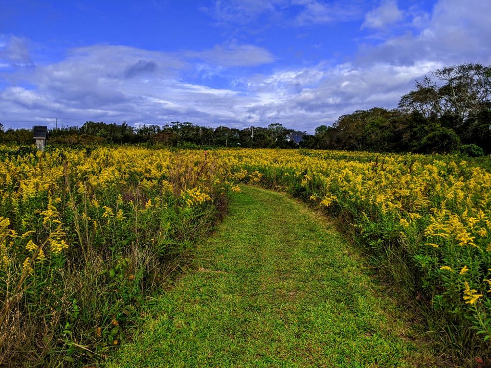 Top 10 Outdoor Adventures in New Jersey | TNC