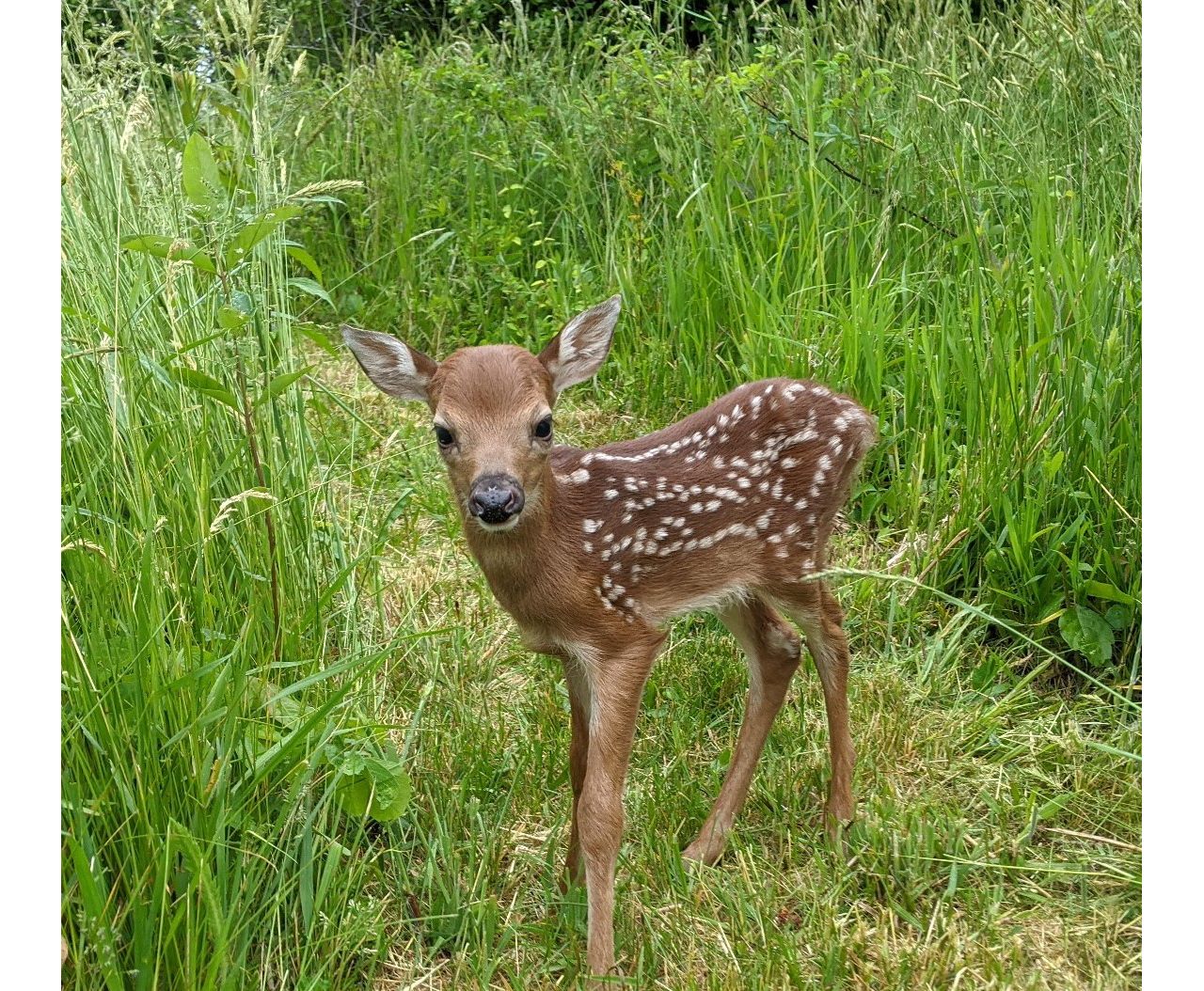 Goosewing Beach Preserve | The Nature Conservancy in Rhode Island