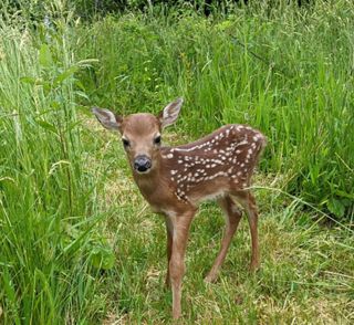 Goosewing Beach Preserve | The Nature Conservancy in Rhode Island
