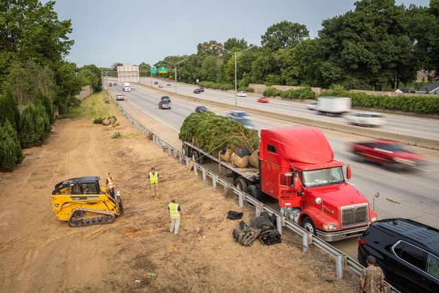 Green Heart Project in Louisville | The Nature Conservancy
