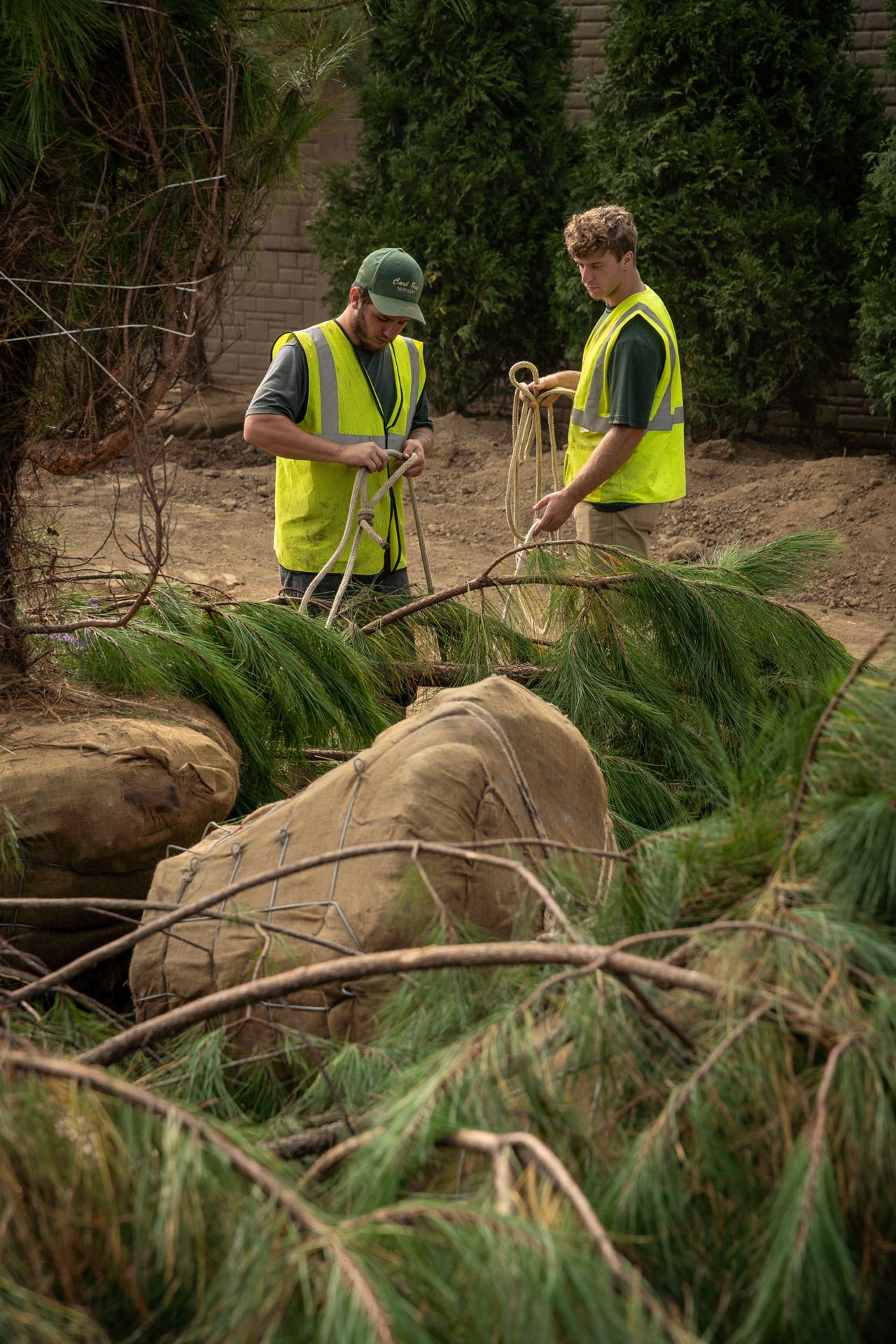 Green Heart Project in Louisville | The Nature Conservancy