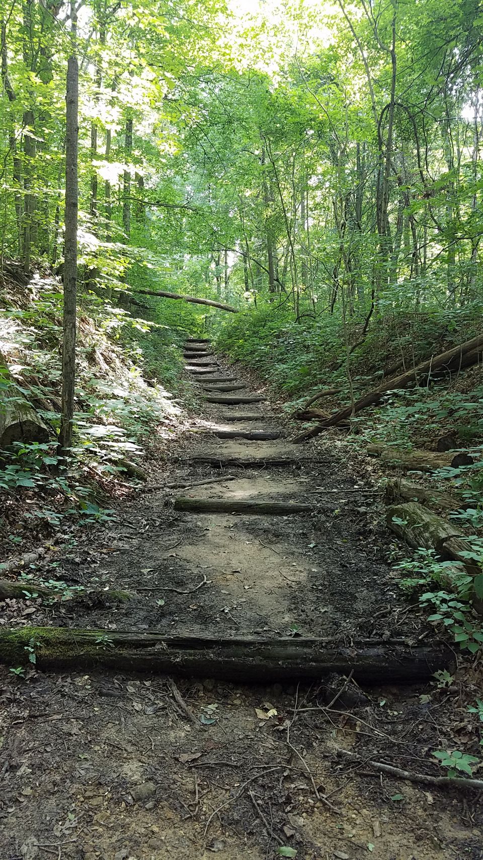 Green's Bluff Nature Preserve | The Nature Conservancy in Indiana