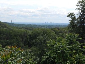 Brock Sampson-Hardin Ridge | The Nature Conservancy