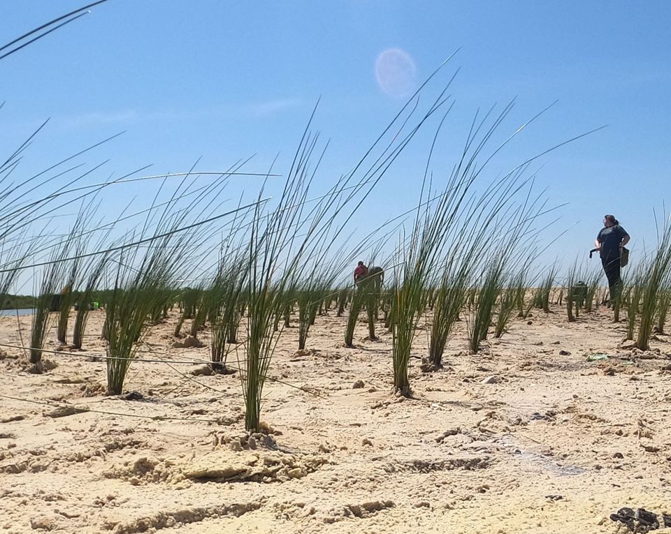 Policy Positions | The Nature Conservancy in Alabama