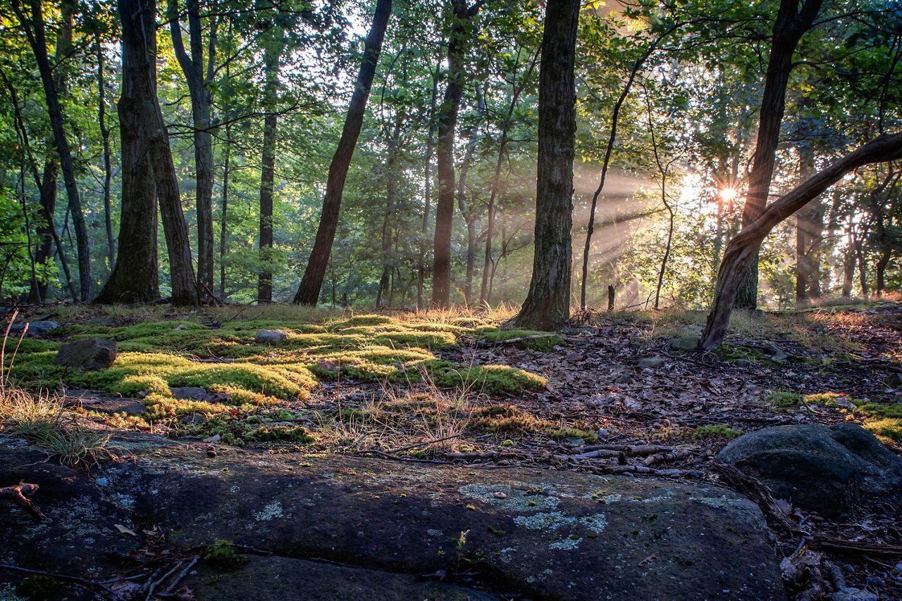 High Mountain Park Preserve | The Nature Conservancy in NJ