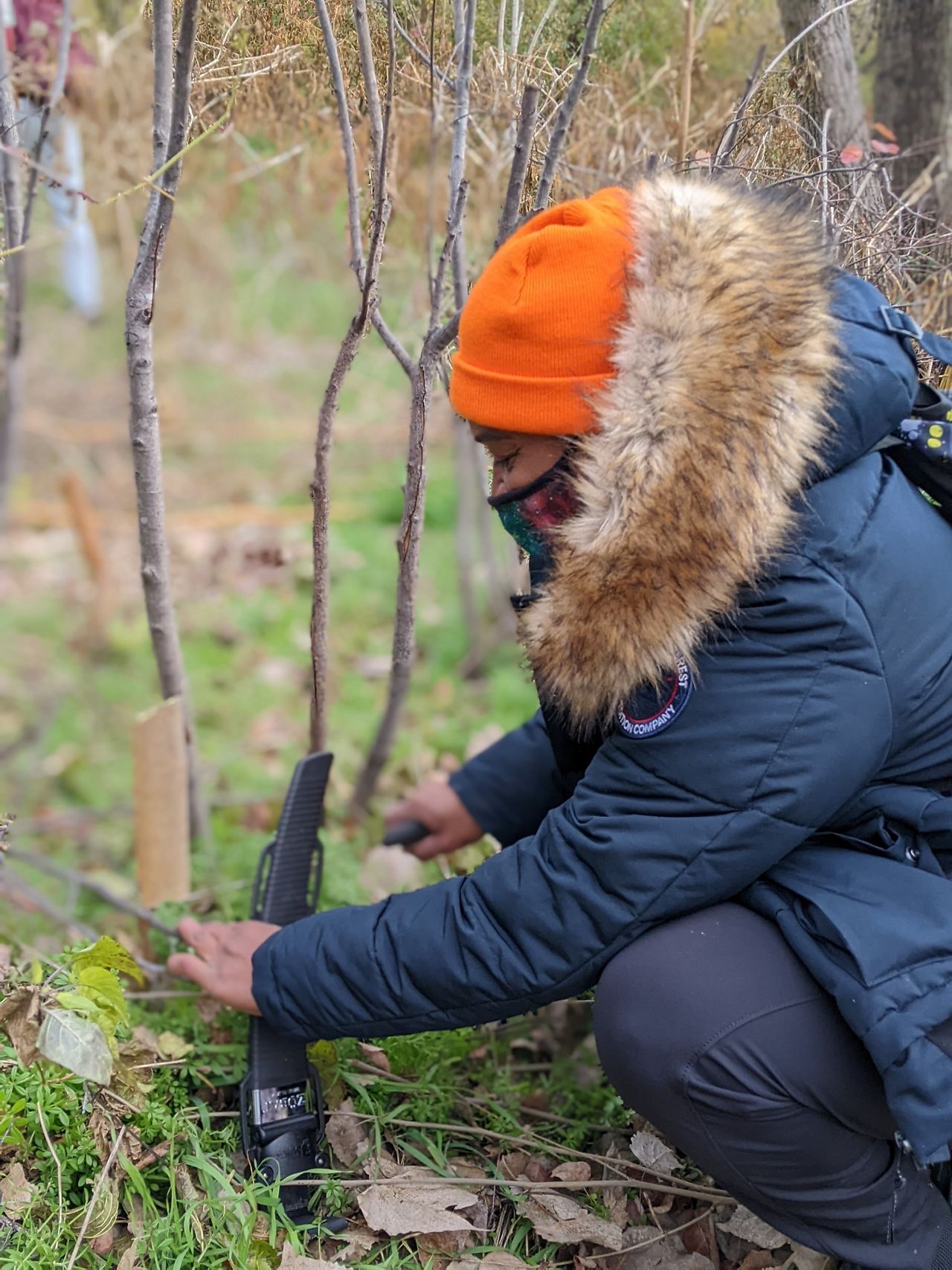 The Collective Stand of Forest for All NYC