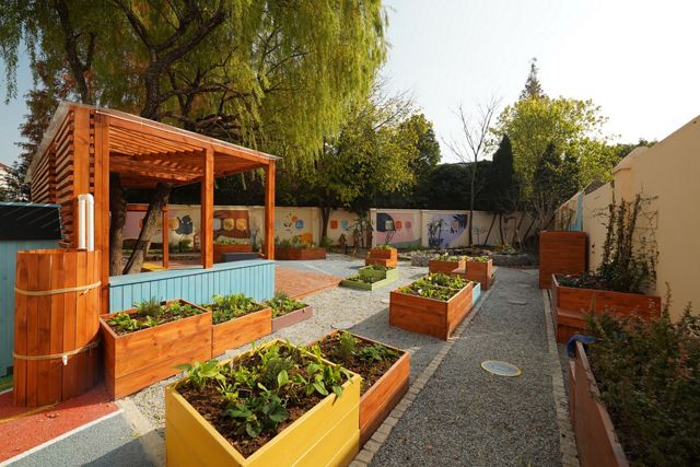 A Place for Nature in Shanghai | The Nature Conservancy