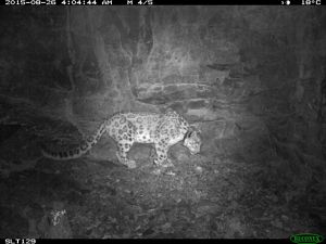 Our Work in Mongolia | The Nature Conservancy Hong Kong