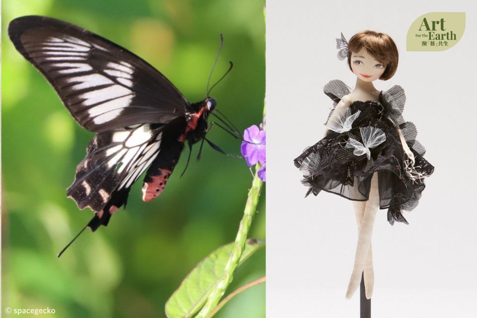 ART FOR THE EARTH : An Exhibition and Auction for Conservation