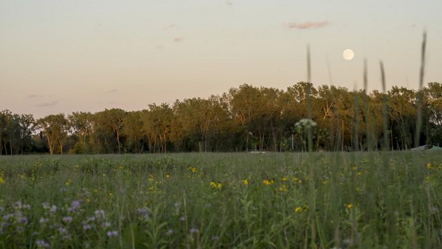 Visit Indian Boundary Prairies | The Nature Conservancy