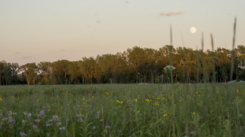 Visit Indian Boundary Prairies | The Nature Conservancy
