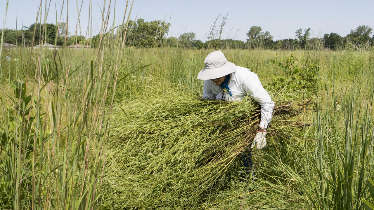 Visit Indian Boundary Prairies | The Nature Conservancy