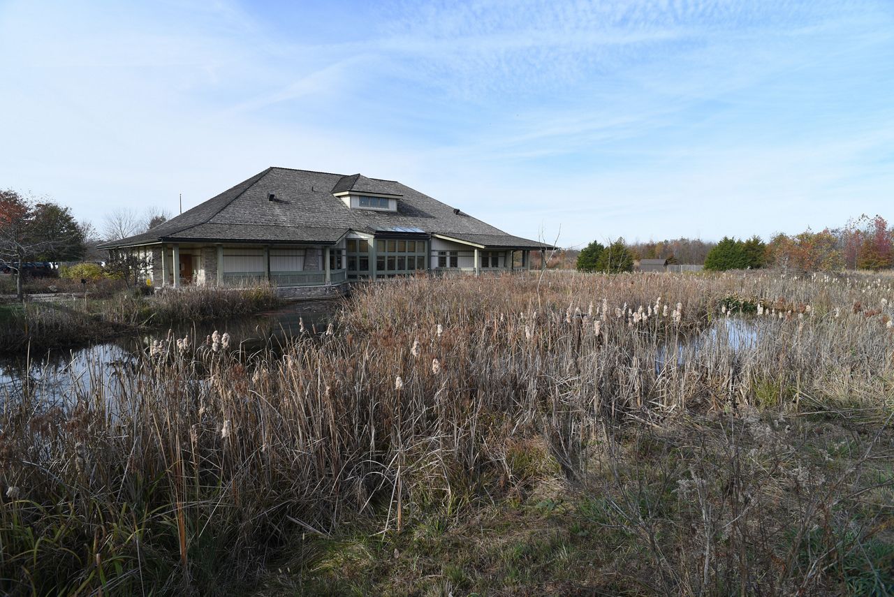 Cache River Wetlands | The Nature Conservancy in Illinois