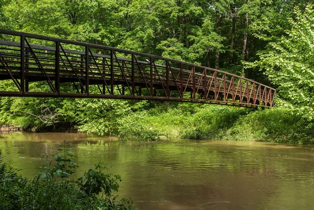 Cache River Wetlands | The Nature Conservancy in Illinois