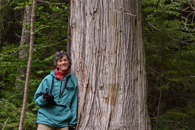 Lime Pond Preserve | The Nature Conservancy in New Hampshire