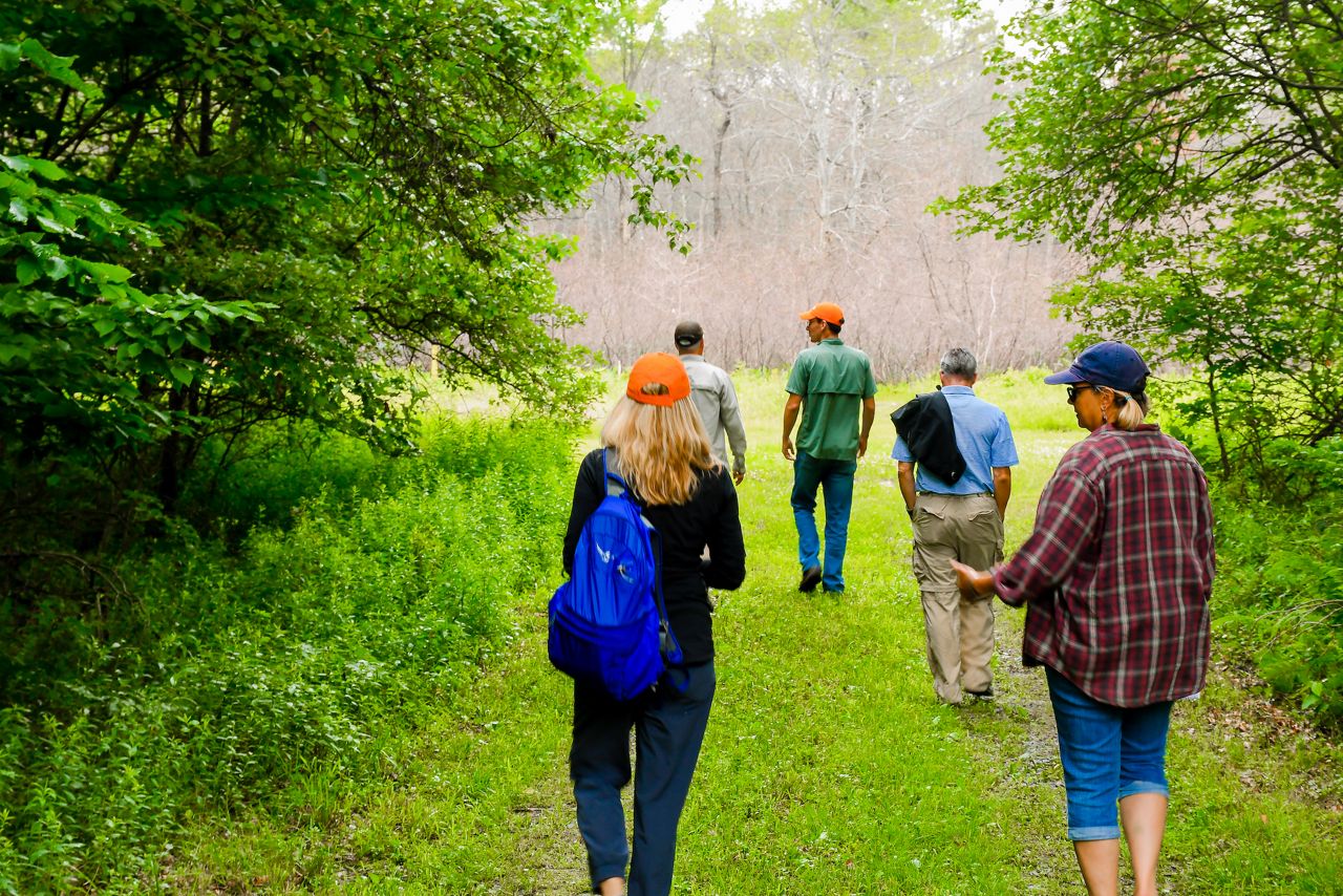 Long Pond Preserve and Hauser Nature Center | TNC in PA