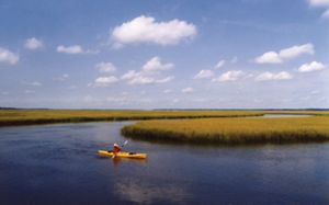The Nature Conservancy in Florida is New Owner of Gamble Place