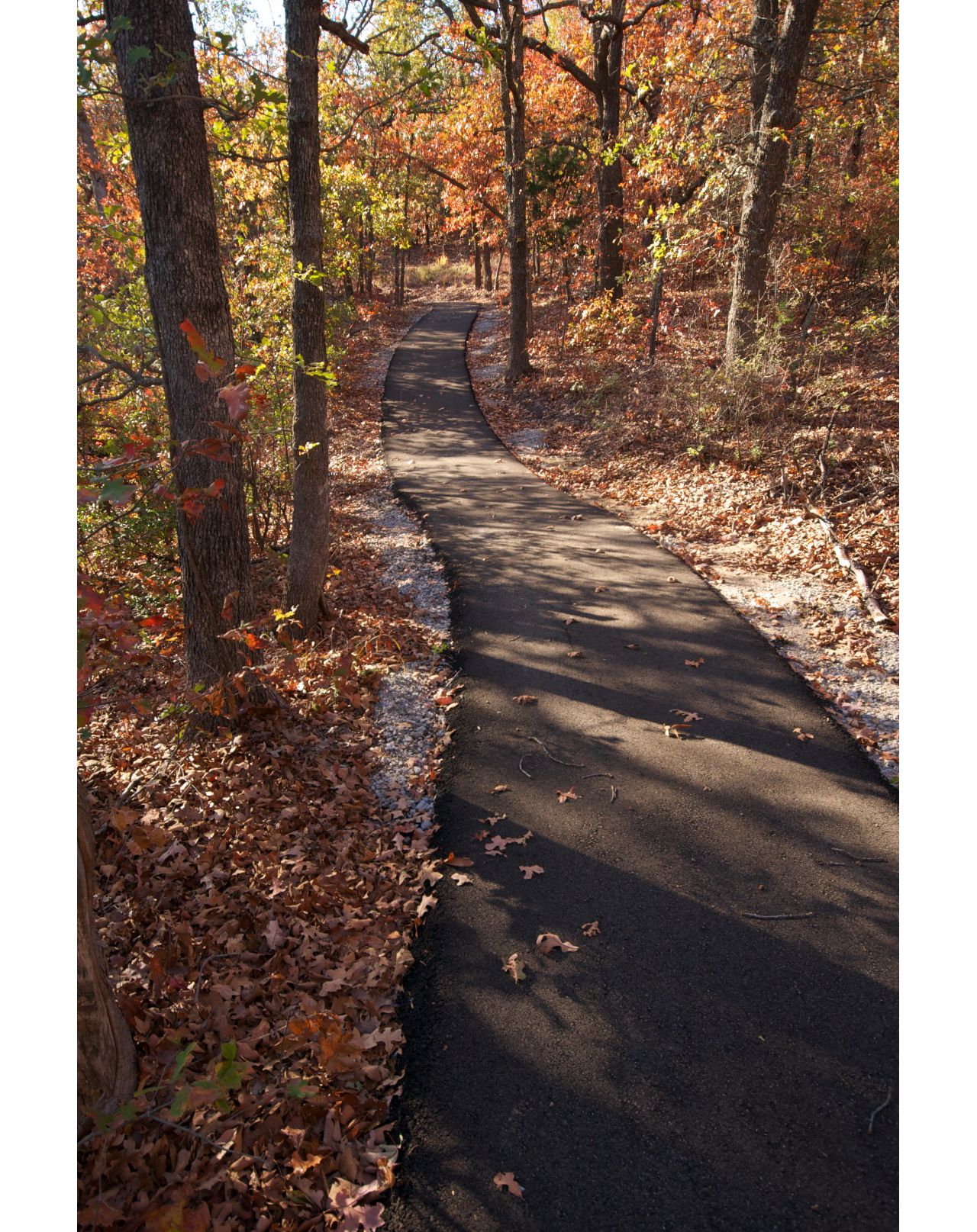 Keystone Ancient Forest Preserve | TNC
