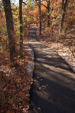 Keystone Ancient Forest Preserve | TNC