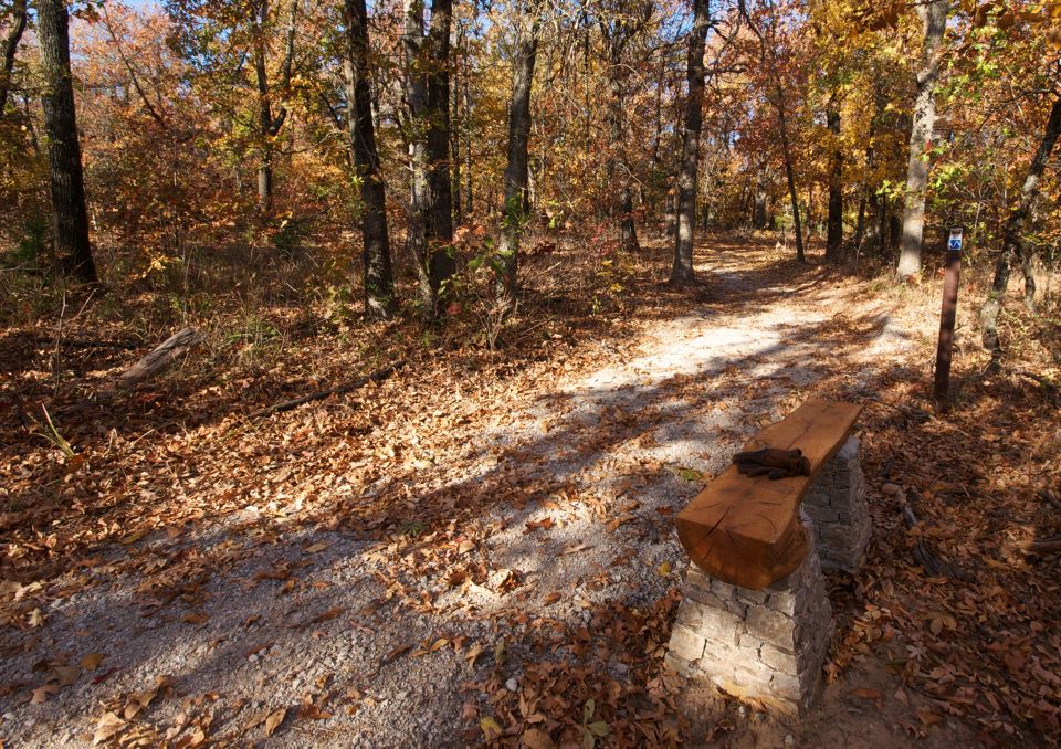 Keystone Ancient Forest Preserve | TNC