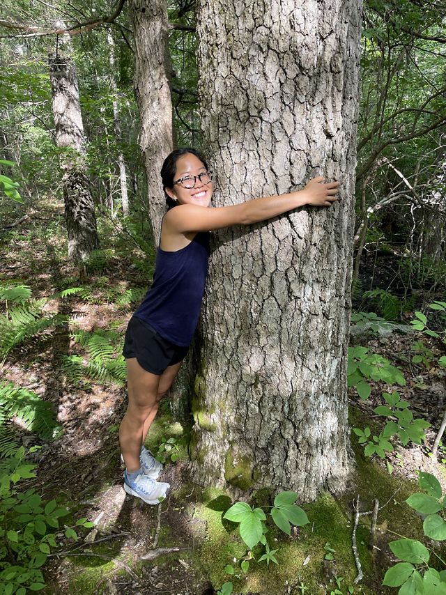Manchester Cedar Swamp Preserve | The Nature Conservancy in NH