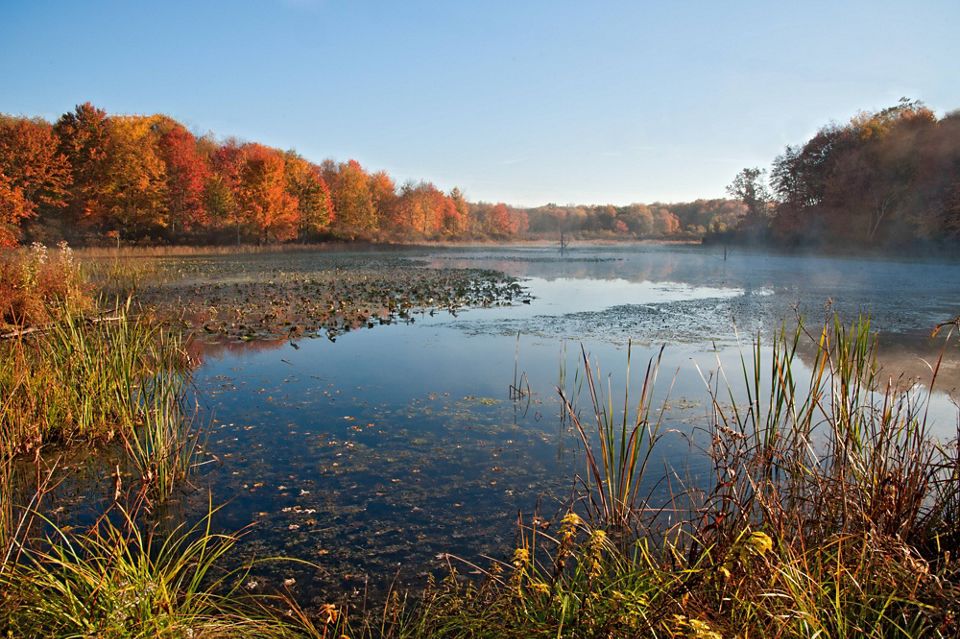 The Nature Conservancy in Ohio