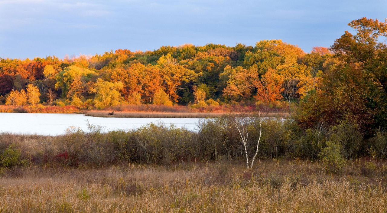 The Nature Conservancy in Wisconsin