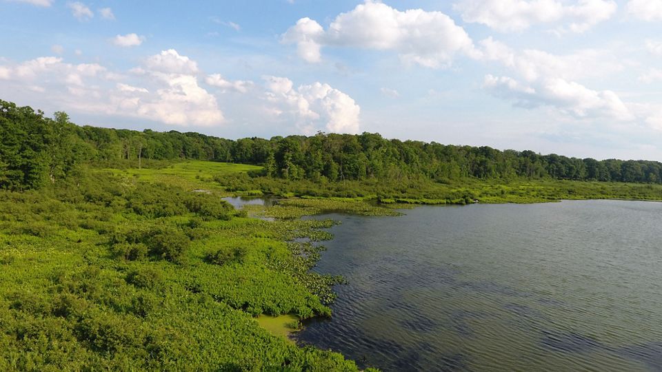 Ohio Endangered Species We're Protecting | The Nature Conservancy