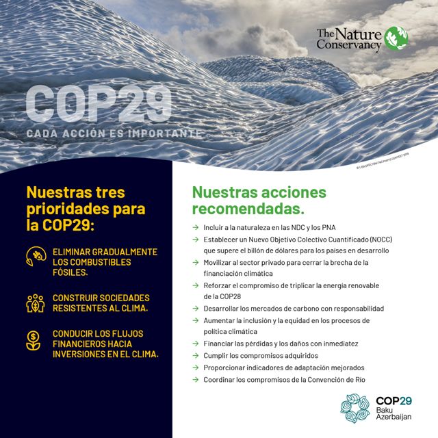 COP29: Tu guía para la conferencia del clima de la ONU de 2024