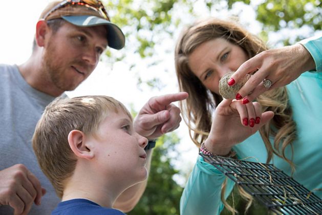 From Concrete to Canopy: Find Your Nature Fix