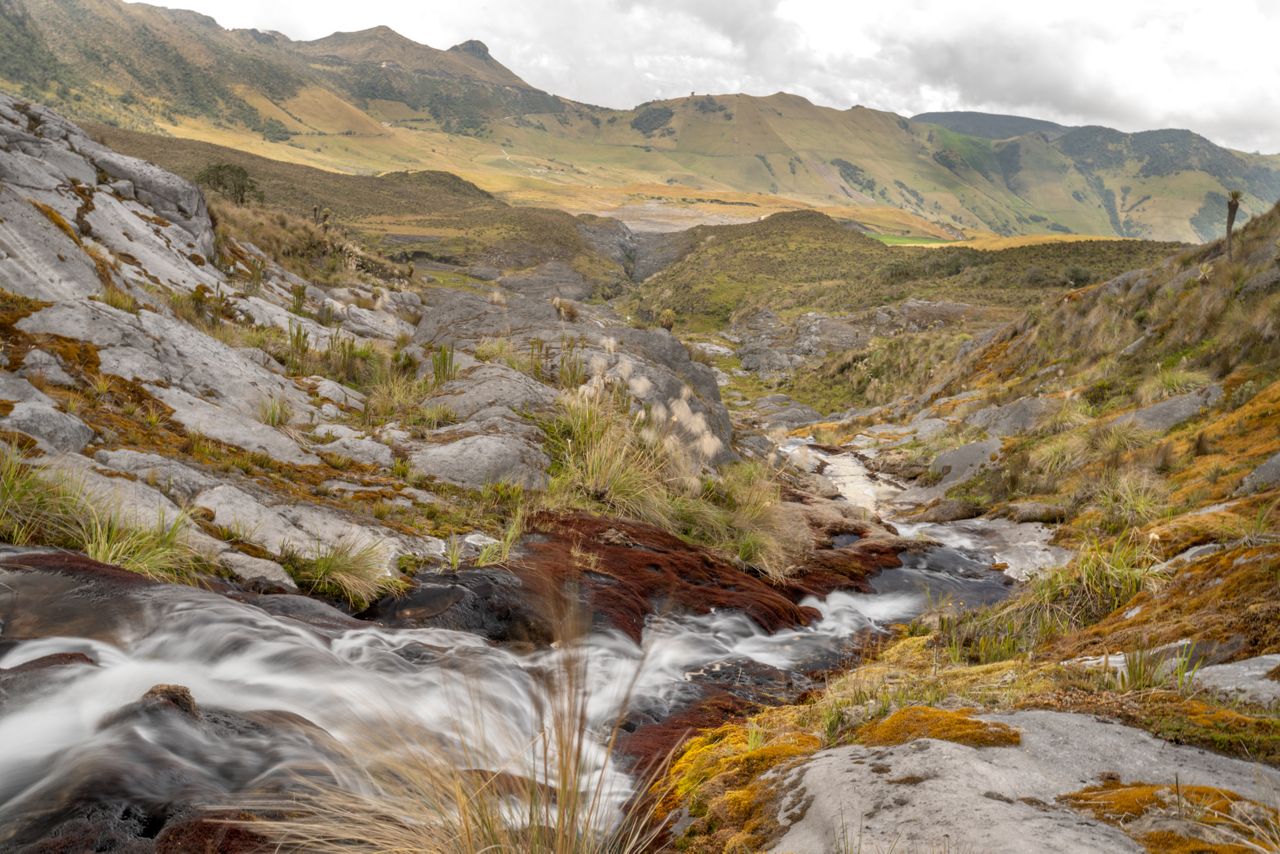 El poder de las turberas I The Nature Conservancy