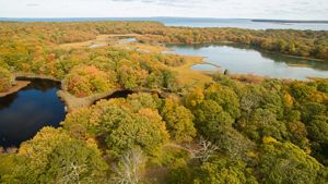 Mashomack | The Nature Conservancy in New York