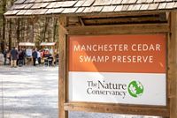 Manchester Cedar Swamp Preserve | The Nature Conservancy in NH