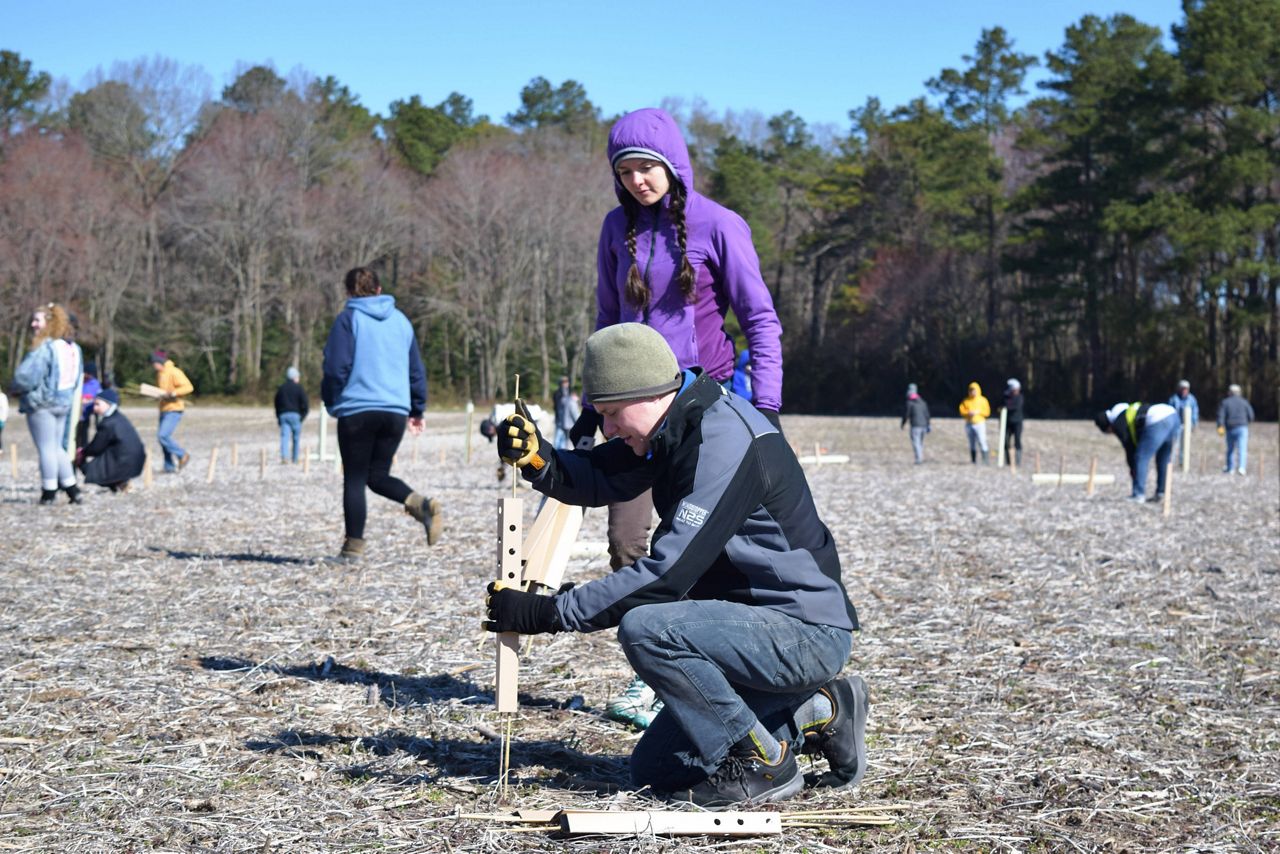 Edward H. McCabe Nature Preserve | The Nature Conservancy in DE