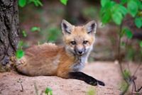 10 Ways to Connect with Nature at a TNC Preserve