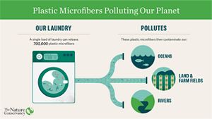 Transforming Ocean Conservation in California