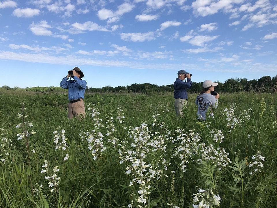 Midewin National Tallgrass Prairie | The Nature Conservancy in IL