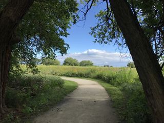 Midewin National Tallgrass Prairie | The Nature Conservancy in IL