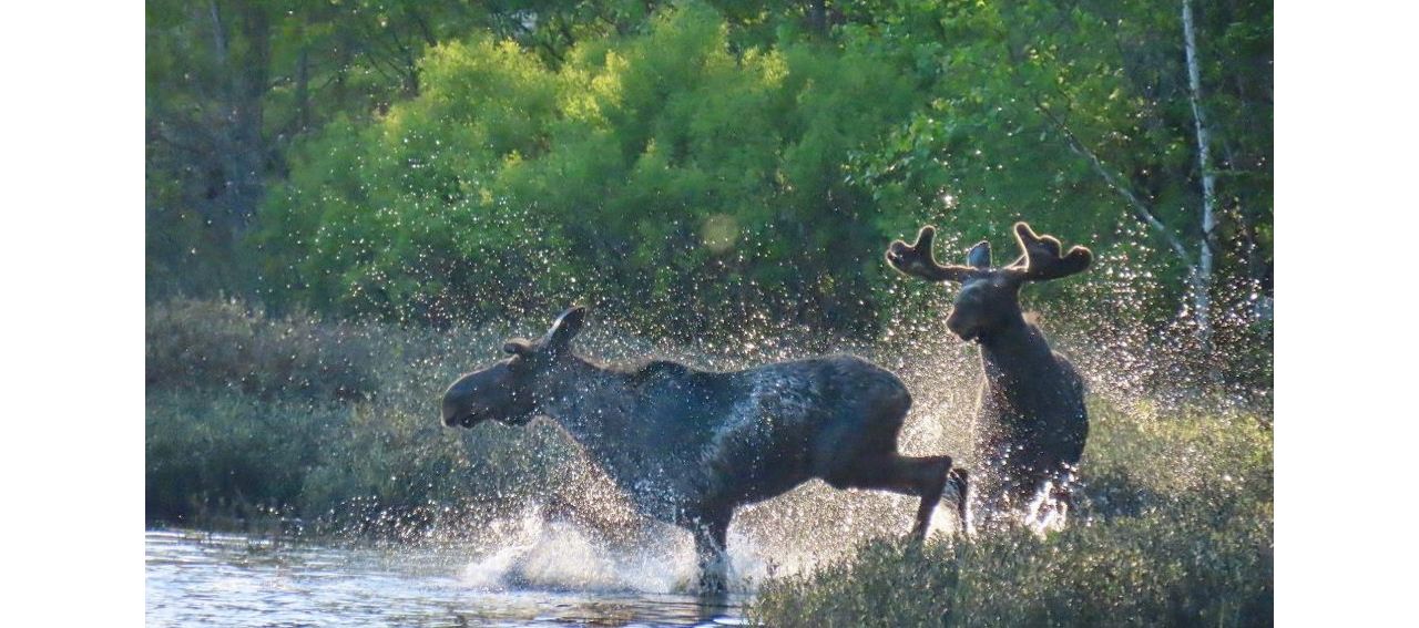 The Great Lakes Northwoods | The Nature Conservancy