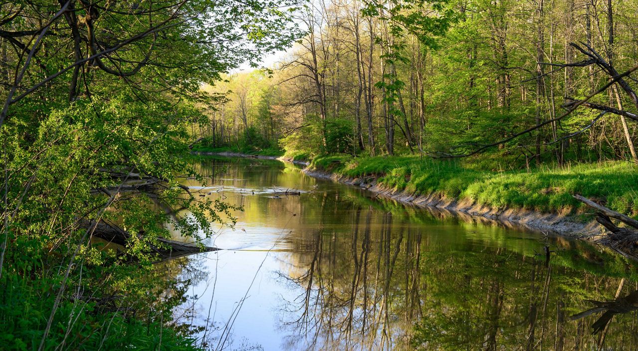 Morgan Swamp Preserve | The Nature Conservancy in Ohio