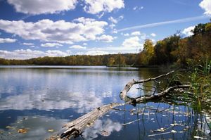 Contact The Nature Conservancy in Minnesota