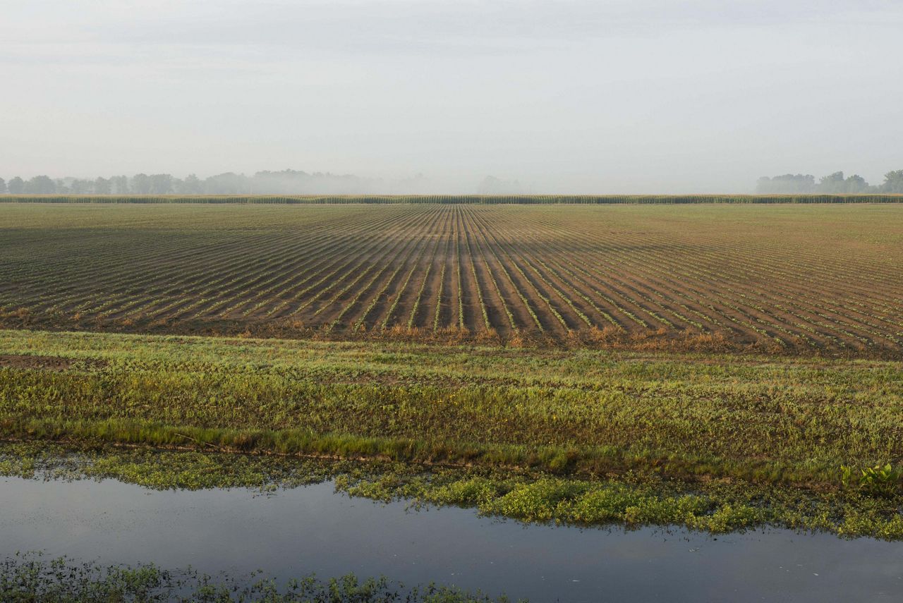 Healthy Alabama Waters