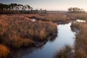 The Nature Conservancy in Mississippi