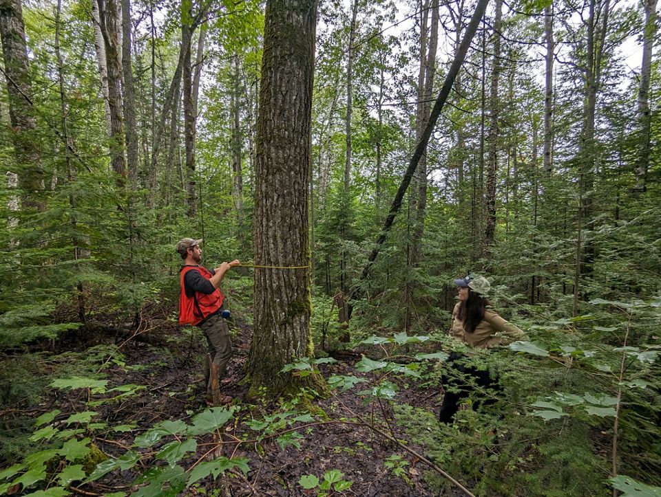 Midwest Women Leading in Conservation | TNC