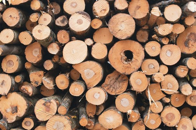 The Great Lakes Northwoods | The Nature Conservancy