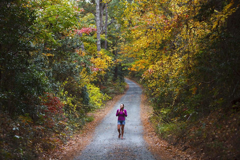 Giving Thanks | The Nature Conservancy