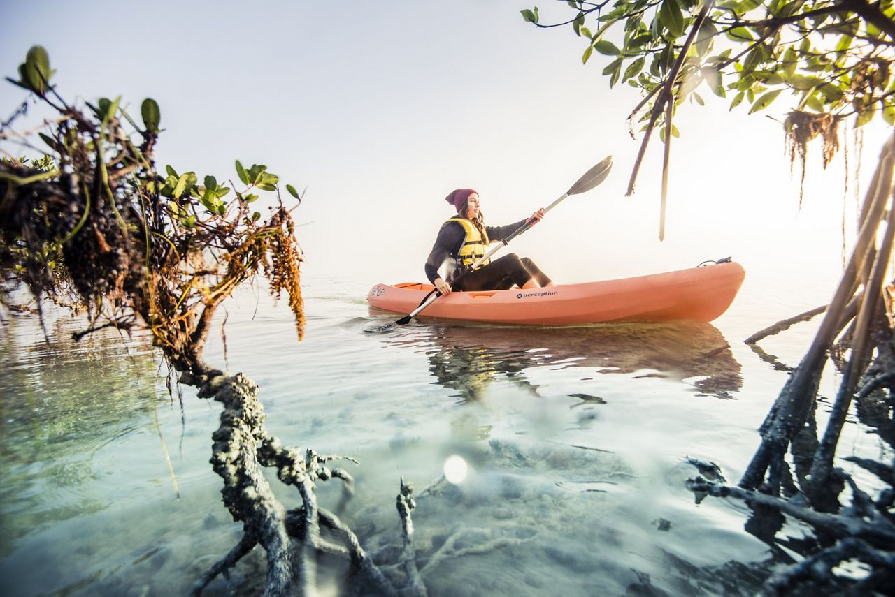 Discover Nature Preserves Near You