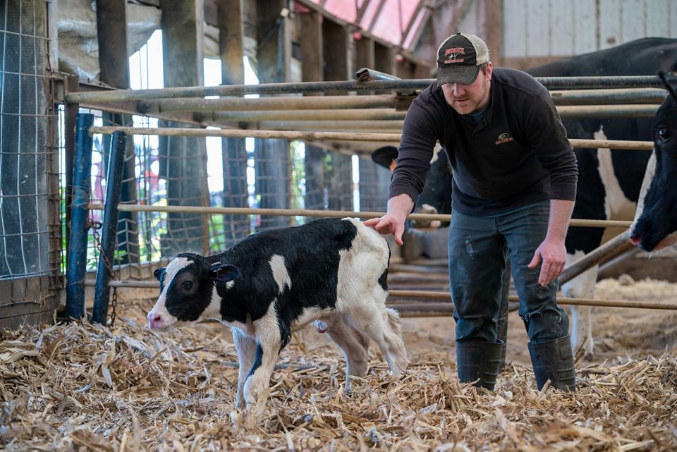 Wisconsin Farmers Leading on Conservation | TNC