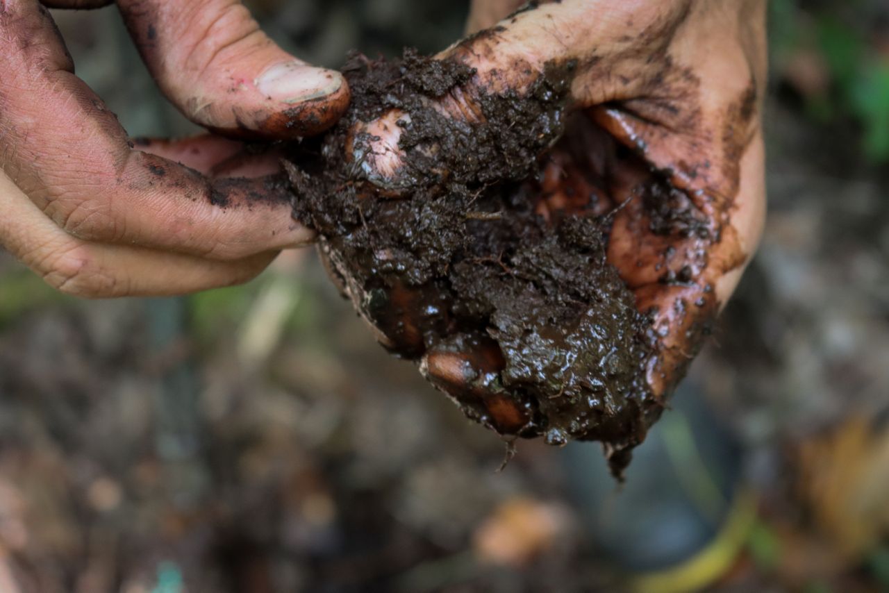 El poder de las turberas I The Nature Conservancy