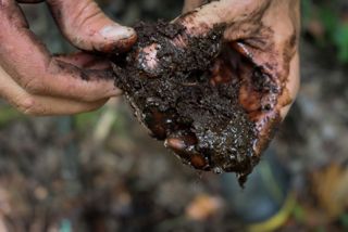 El poder de las turberas I The Nature Conservancy